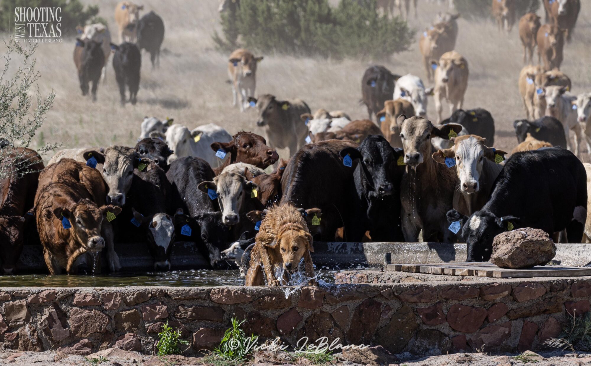 Shooting West Texas – Photography Workshop